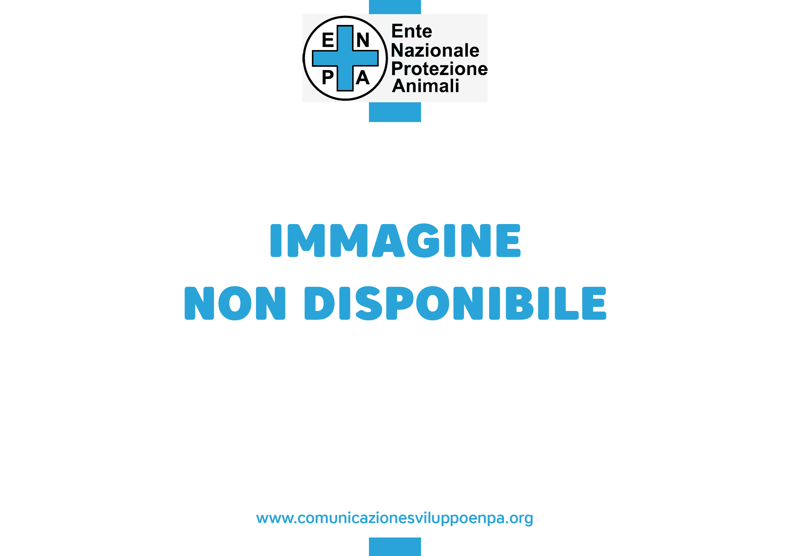 Idee Solidali ENPA - Ente Nazionale Protezione Animali
